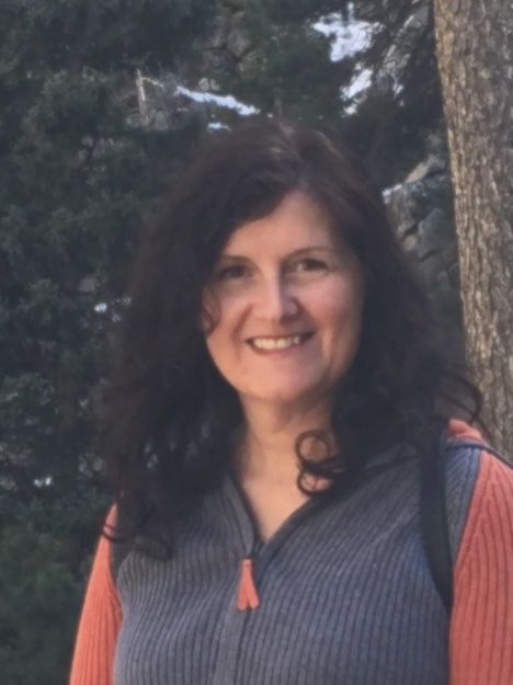 Sally Boccella to run for northern Colorado Senate seat - Colorado Politics